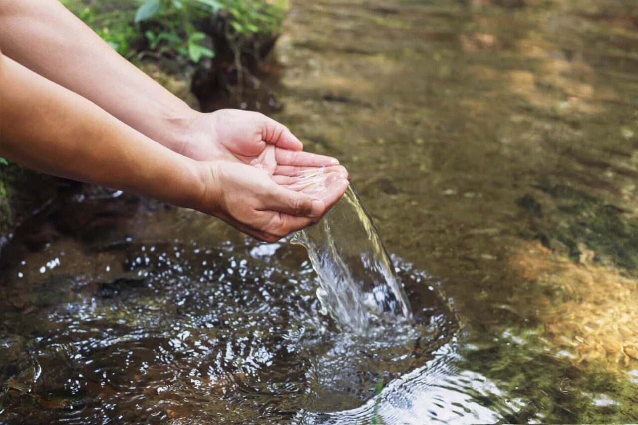 Dia mundial da água: preservar a água é cuidar do planeta